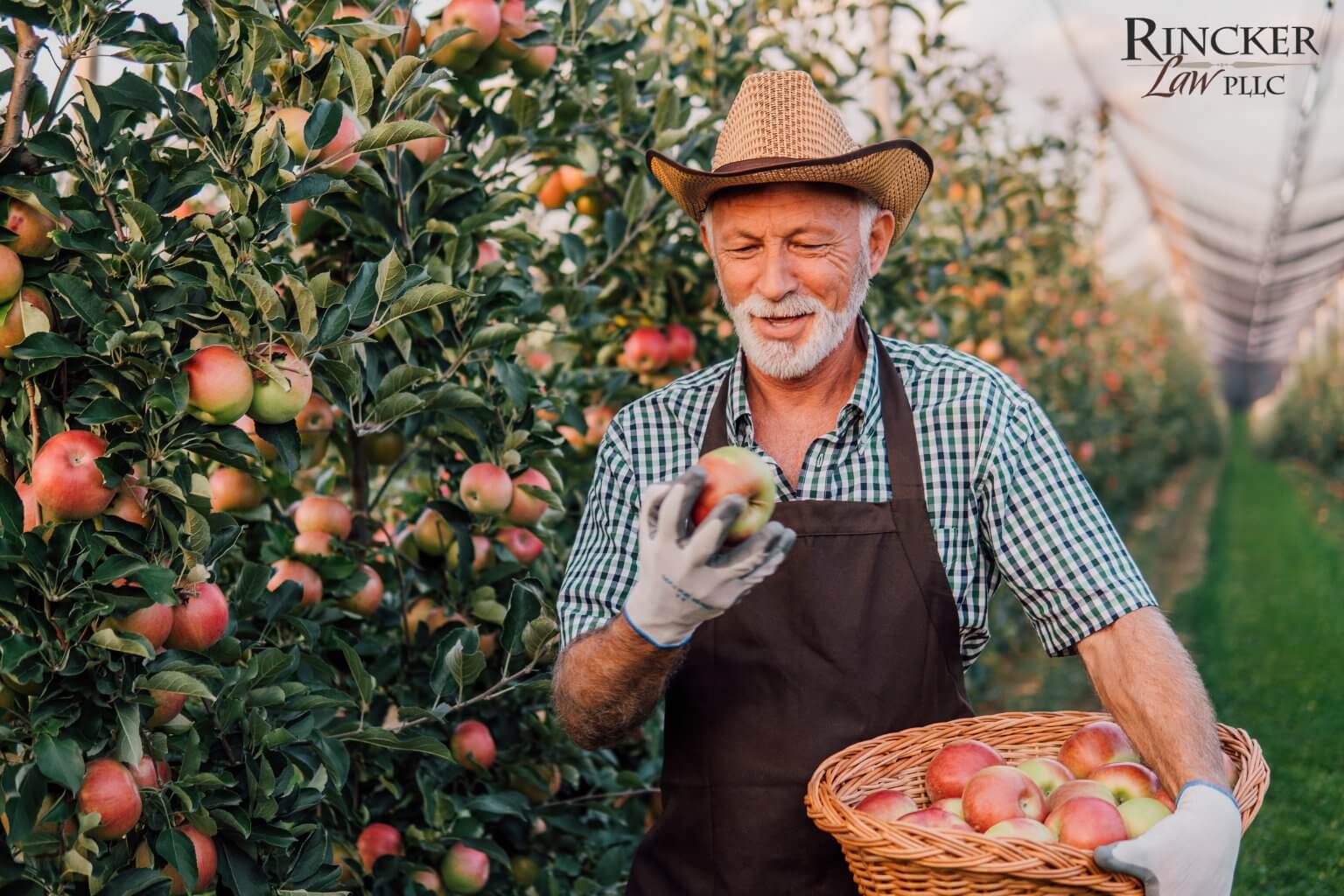 Hiring Seasonal Farm Workers in Illinois: What You Need to Know About ...