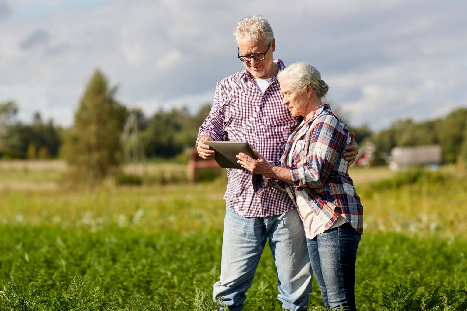 10 Ways to Have a Smooth Farm Divorce in Illinois - Rincker Law, PLLC